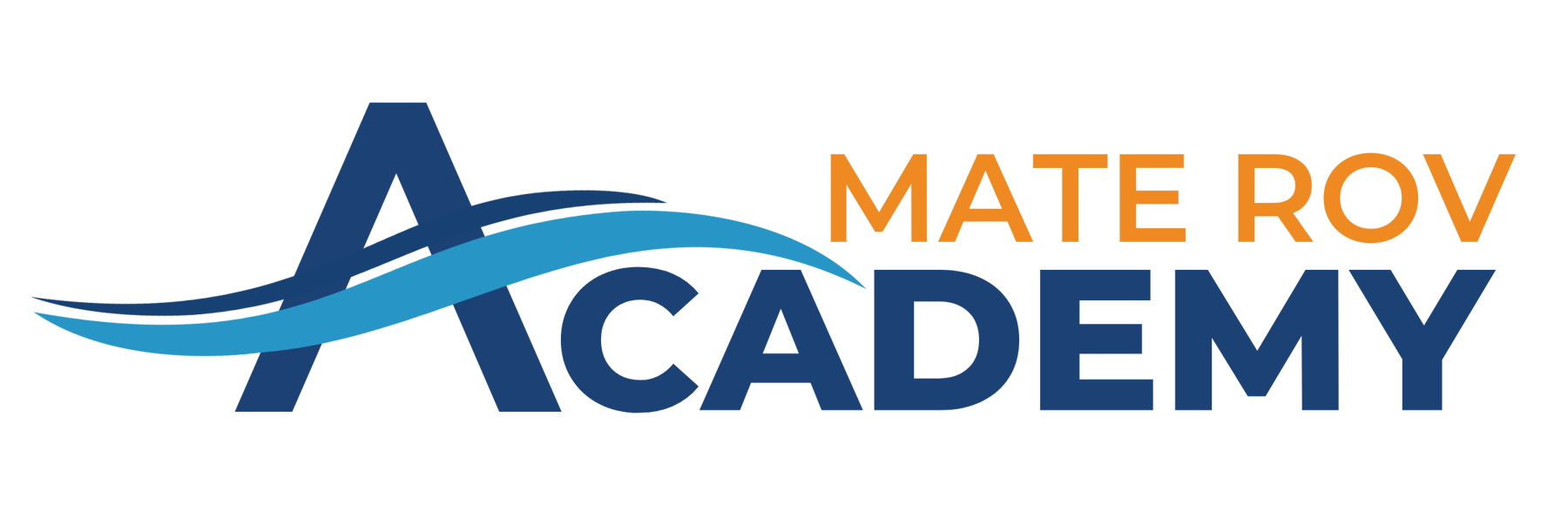 Introductory Resources